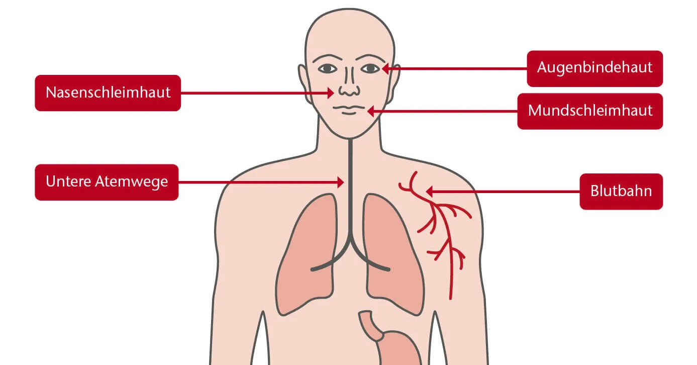 Infektionsquellen und Infektionswege: Übertragung von Krankheitserregern