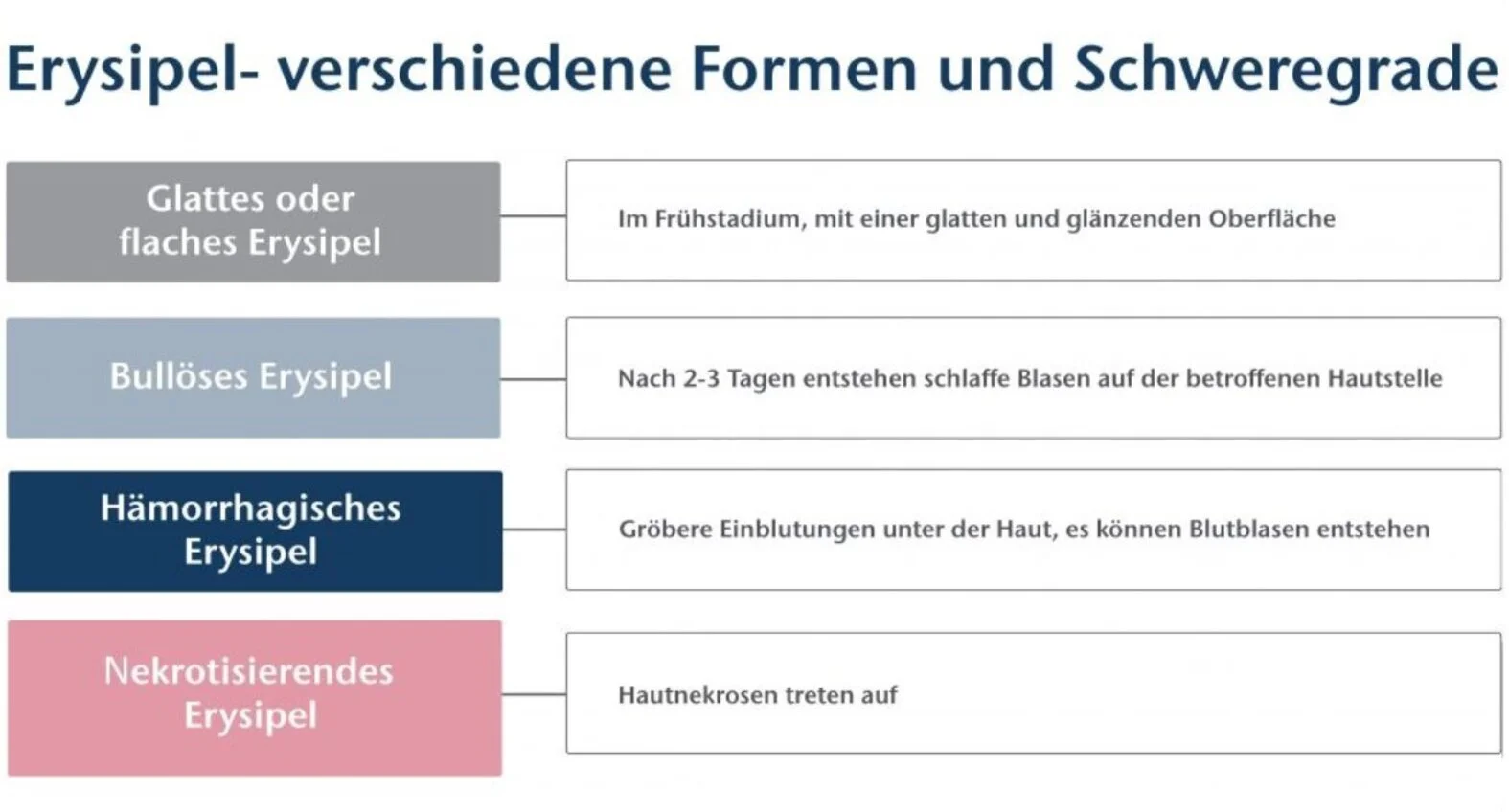 Erysipel (ugs. Wundrose oder Rotlauf) Diagnostik und Therapie