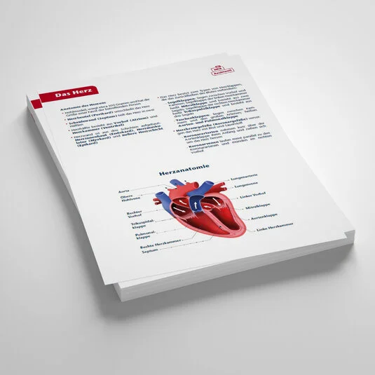 Ausbildung MFA - Lehrinhalte und Berufschancen