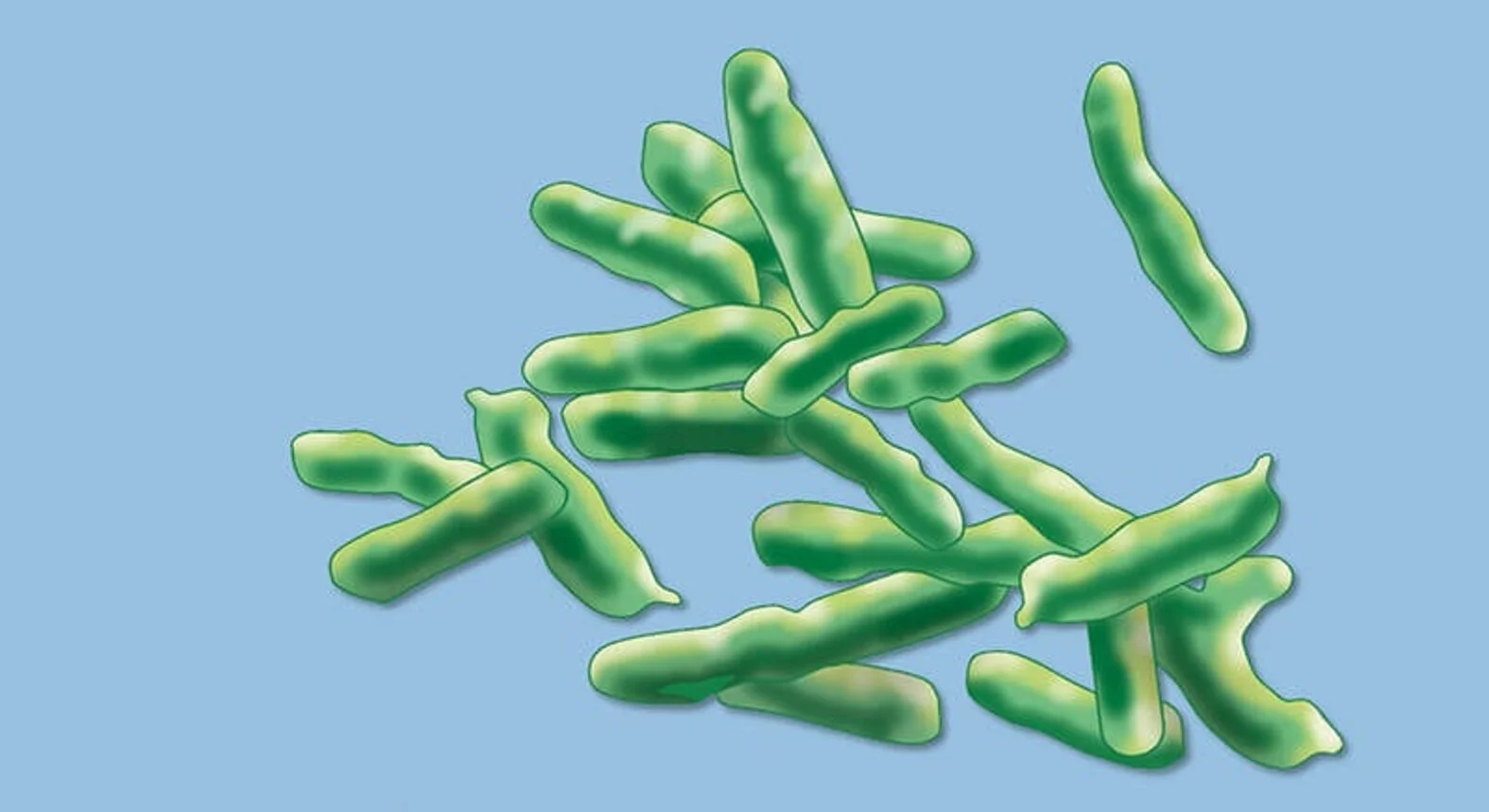 Eiter: Eitrige Wunden und Entzündungen, Behandlung